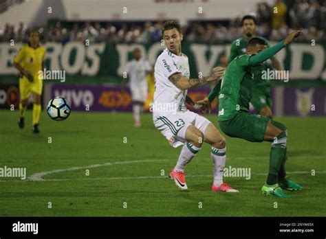 SC Chapeco 20 05 2017 Brasileiro A 2017 Chapecoense X Palmeiras