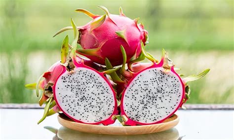 5 Manfaat Buah Naga Putih Untuk Kesehatan BeritaGesit