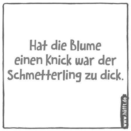 8 Sprüche über Blumen Häfft de