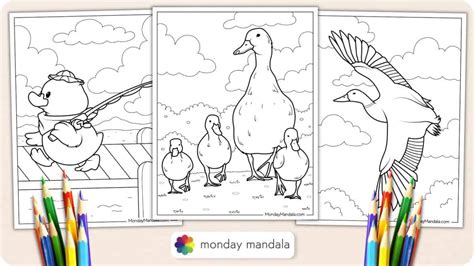 Cute Duck Coloring Pages Free Pdf Printables