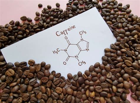 Do Coffee Beans Have Caffeine TheMuggLife