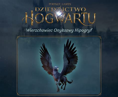 Kod Aktywacyjny Dziedzictwo Hogwartu Hogwarts Legacy Gra XBOX SERIES