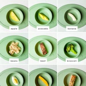 How To Start Baby Led Weaning First Foods Eating Bird Food