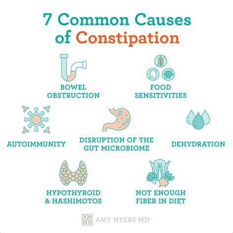 What Causes Constipation How To Relieve It Amy Myers MD