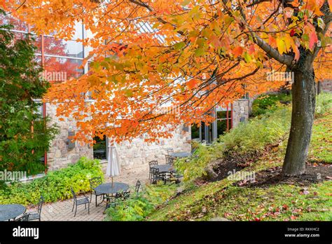 Beautiful Fall Color Of Mont Tremblant National Park At Quebec Canada