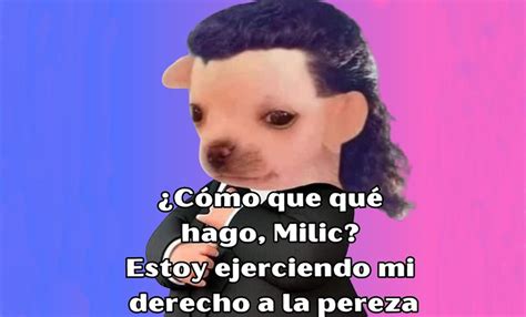 Los mejores memes para celebrar el Día del Abogado hasta perder el juicio