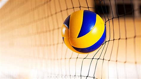 Chia sẻ với hơn 75 về volleyball hình nền bóng chuyền đẹp coedo vn