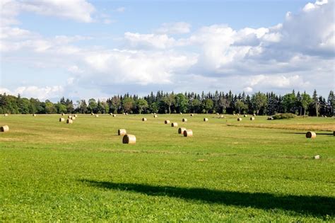 Fardos de heno en el campo después de la cosecha paisaje rural en un