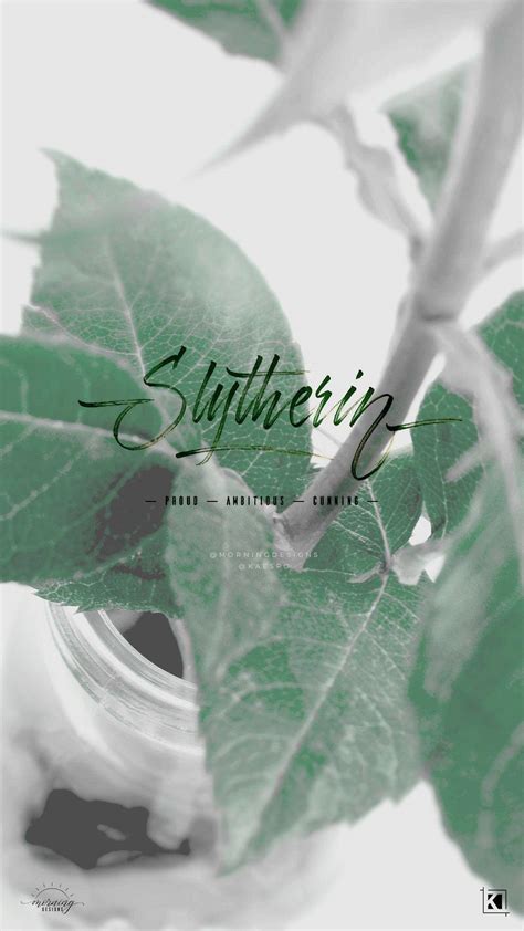 Slytherin Aesthetic Wallpapers Wallpapers