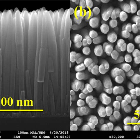 A Top View B Cross Sectional View Of FESEM Images Of Un Irradiated