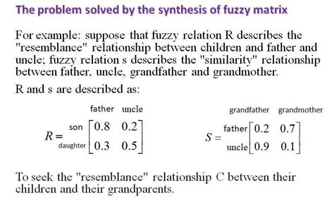 solved the problem solved by the synthesis of fuzzy matrix