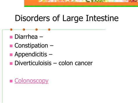 Ppt Chapter Digestive System Powerpoint Presentation Free