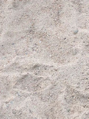 Gray River Sand For Construction At Best Price In Patna ID