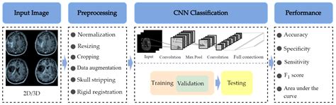 diagnostics free full text convolutional neural network techniques for brain tumor