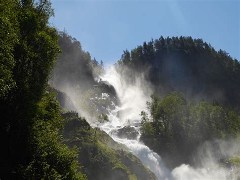 Images Gratuites Paysage Arbre Eau La Nature For T De Plein Air