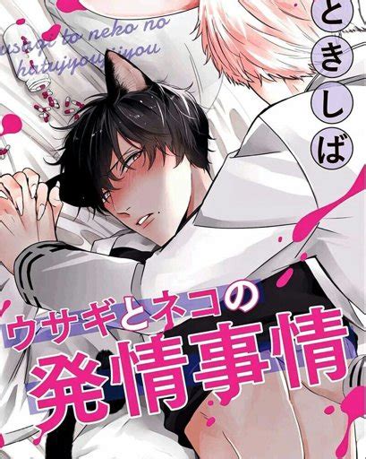 Lobito X Conejo Anime Y Mangas Yaoi Amino