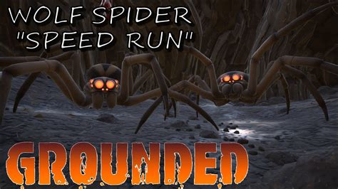 How To Kill A Wolf Spider Grounded