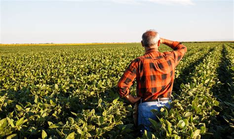 Produtor Rural D Vidas De R Milh Es Garante Na Justi A Direito