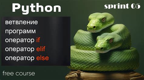 Ветвление в Python Операторы if elif else на примерах YouTube