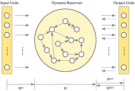 typical echo state network structure download scientific diagram