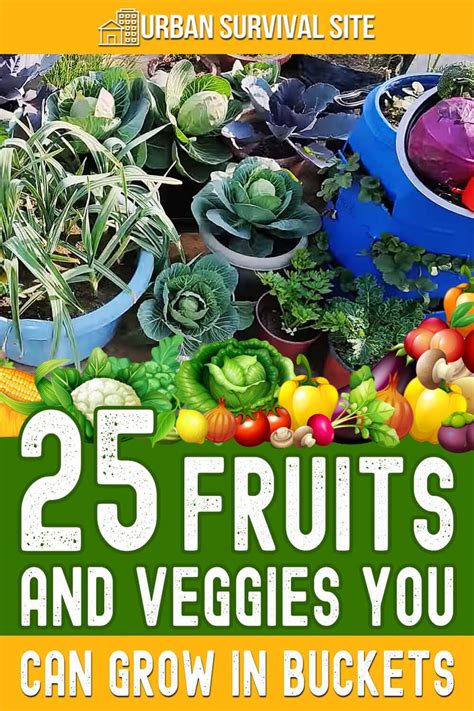 30 Fruits And Veggies You Can Grow In Buckets Vegetable Garden For