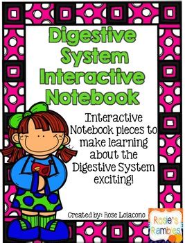 Digestive System Interactive Notebook By Rose Loiacono Tpt