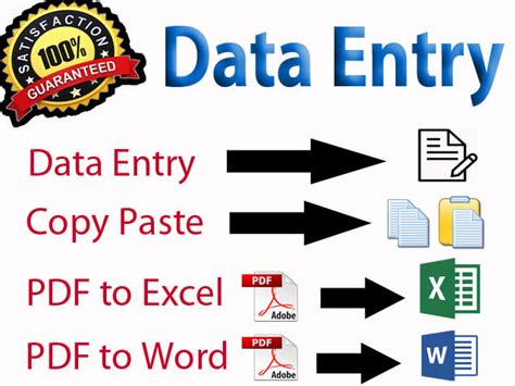 do data entry from pdf to word or excel by daneedanee