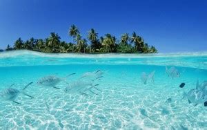 50 Beautiful Beaches Pictures And Wallpapers