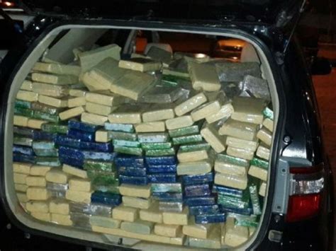 G1 PRF Apreende Quase Uma Tonelada De Maconha Em Carro Roubado No PR
