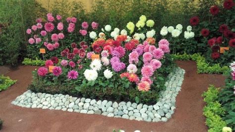Hermosos Jardines Peque Os Con Flores Coloridas