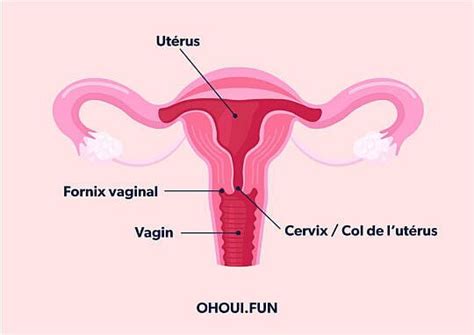 Une envie de vomir après le sexe 9 raisons possibles