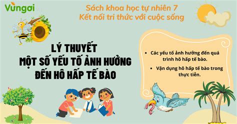 L Thuy T M T S Y U T Nh H Ng N H H P T B O M N Khoa H C T