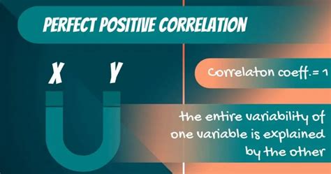 calculating and using covariance and linear correlation coefficient 365 data science