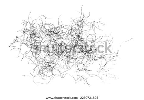 Pubic Hair Fall Isolated On White Stock Photo 2280731825 Shutterstock