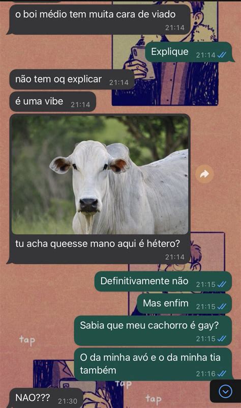 Meu Livro No Fixado On Twitter Essa Conversa Foi Boa
