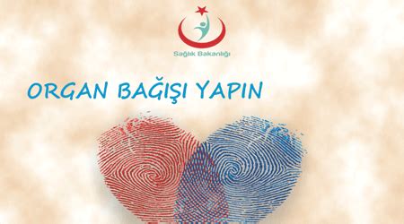 3 9 Kasım Organ Bağışı Haftası