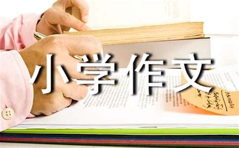 小学作文500字