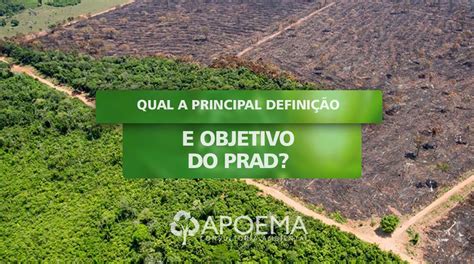 Projeto de Recuperação de Áreas Degradadas ou Alteradas PRAD Apoema