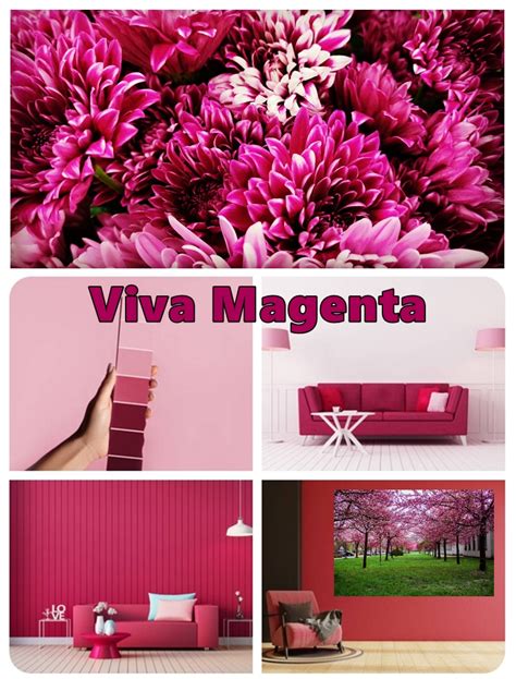 Viva Magenta Pantone Color Of The Year