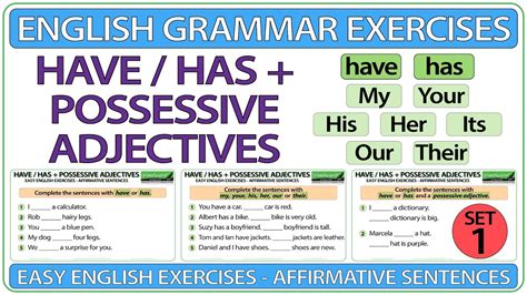 Have Has Possessive Adjectives Easy English Grammar Exercises