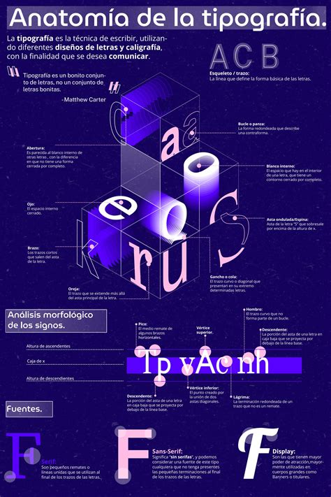 Infografía sobre la anatomía de la tipografía by Valentina Castro Issuu