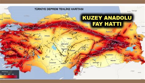 Deprem R Sk Har Tasi Kuzey Anadolu Fay Hatt Do U Anadolu Fay Hatt