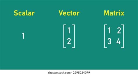 scalars vectors matrices linear algebra mathematics stock vector royalty free 2295224079