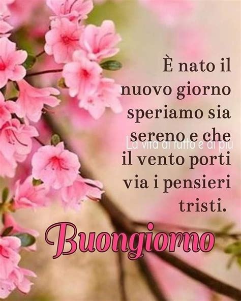 Mi Piace 141 Commenti 2 Vanessa419 Vanessa4199340 Su