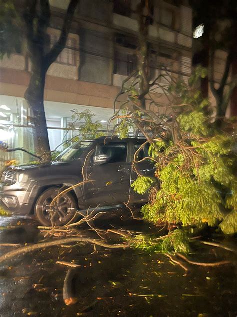 Chuva forte derruba árvores e causa danos em Vitória veja vídeo ES HOJE