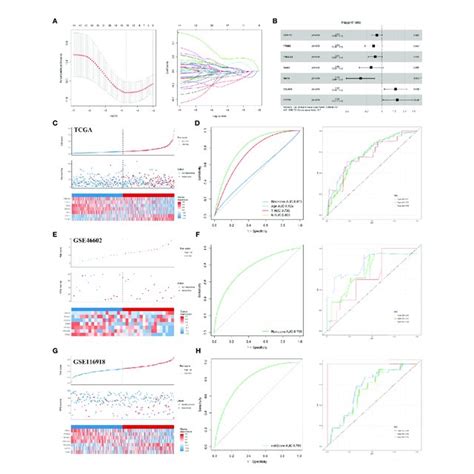 construction and validation of the rfs predictive model a lasso download scientific