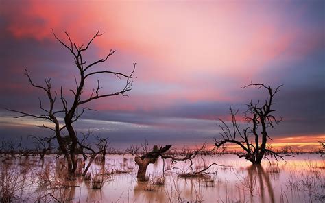 Fondos de pantalla luz de sol Árboles paisaje puesta de sol lago