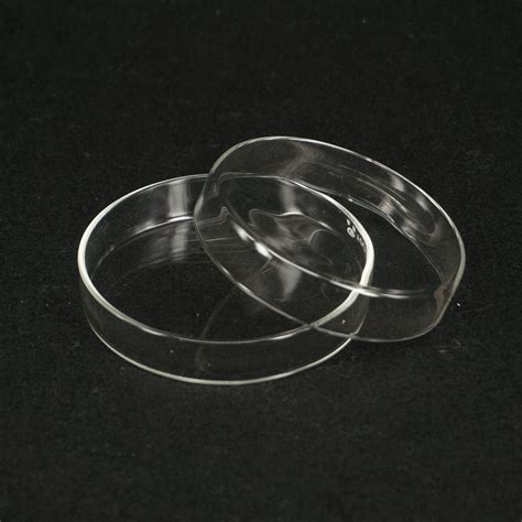 60 200mm Borosilicate Glass Petri Culture Dish With Lids For Lab