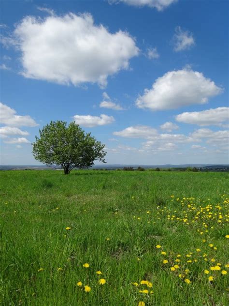 Free Images Landscape Horizon Cloud Sky Field Meadow Prairie