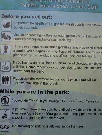 Gorilla Trekking Rules And Regulations Gorilla Trekking Safaris